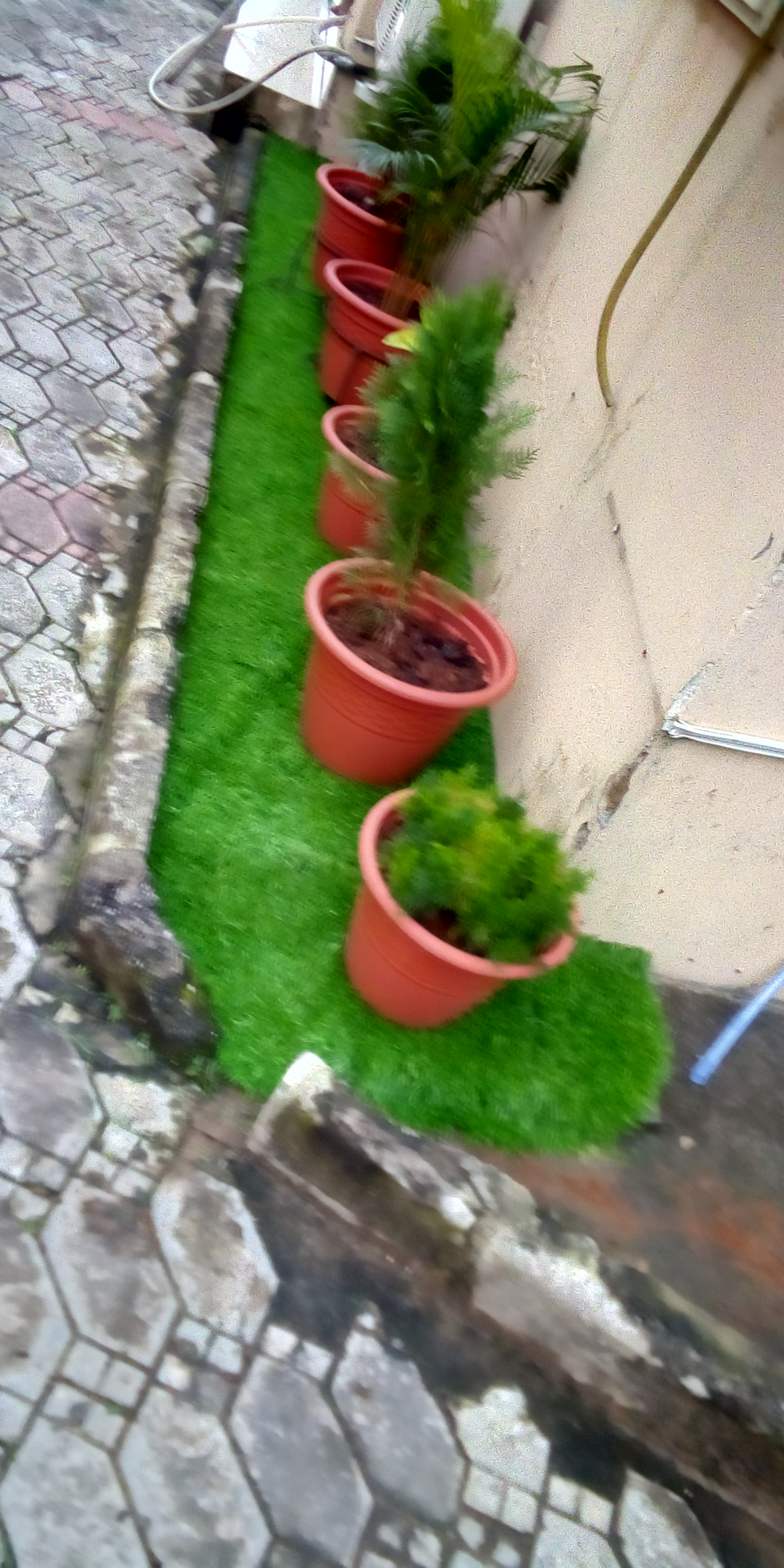 Installation Of Artificial Grass For Compound Decoration At Magodo ...